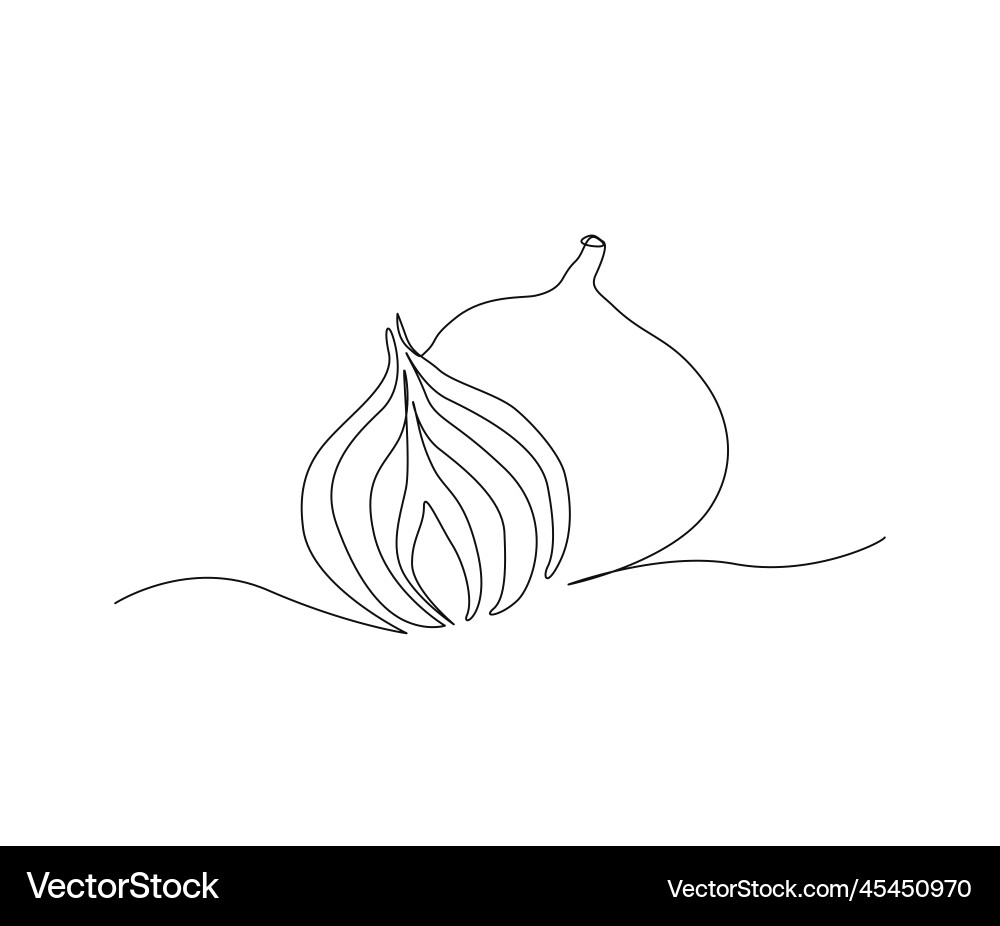 Continuous line art drawing of half cut Royalty Free Vector