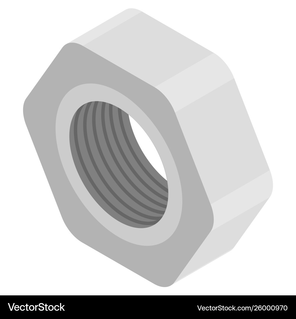 Metal screw isolated on white stainless nuts Vector Image