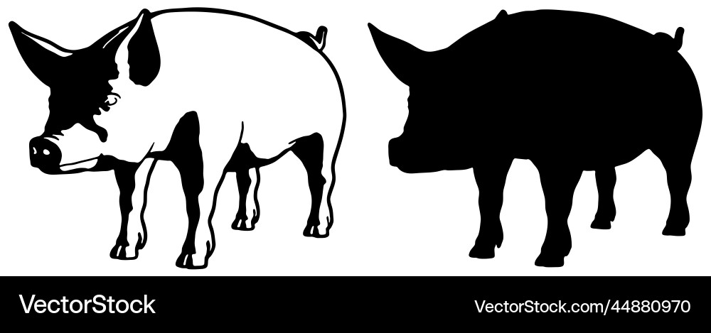 Sign pig silhouette isolated black Royalty Free Vector Image