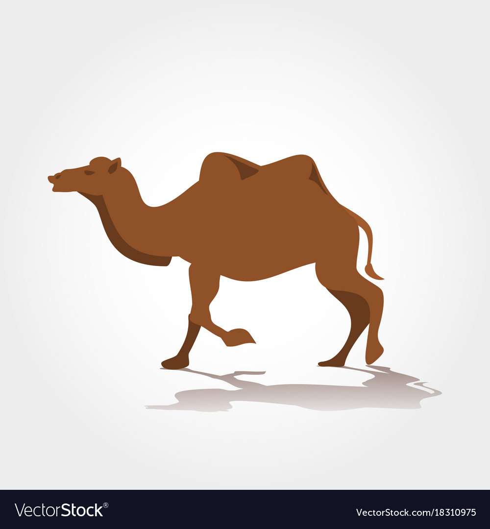 Camel Royalty Free Vector Image - VectorStock