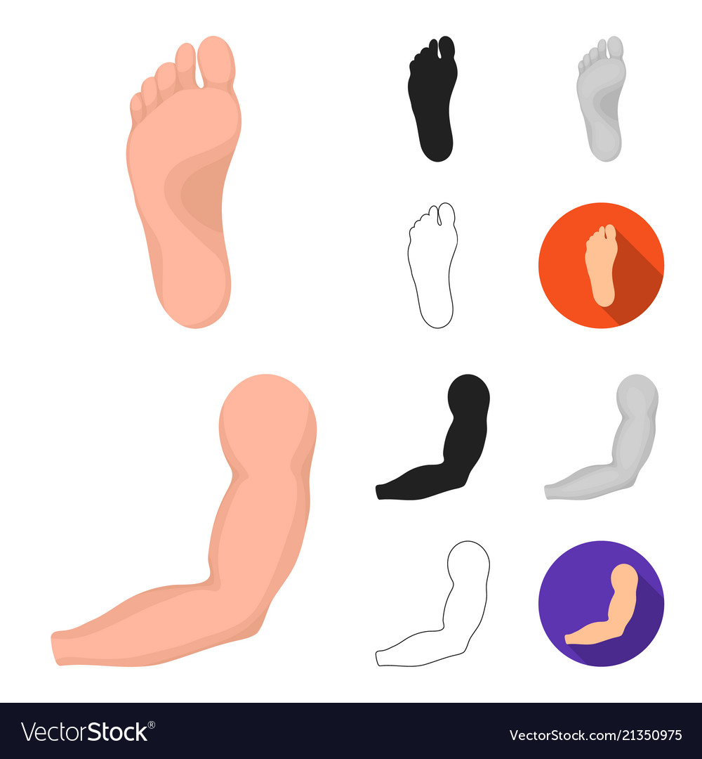 Part Of The Body Limb Cartoonblackflat Royalty Free Vector