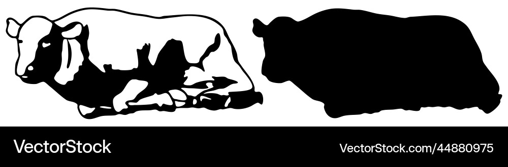 Sitting cow silhouette isolated on a white Vector Image