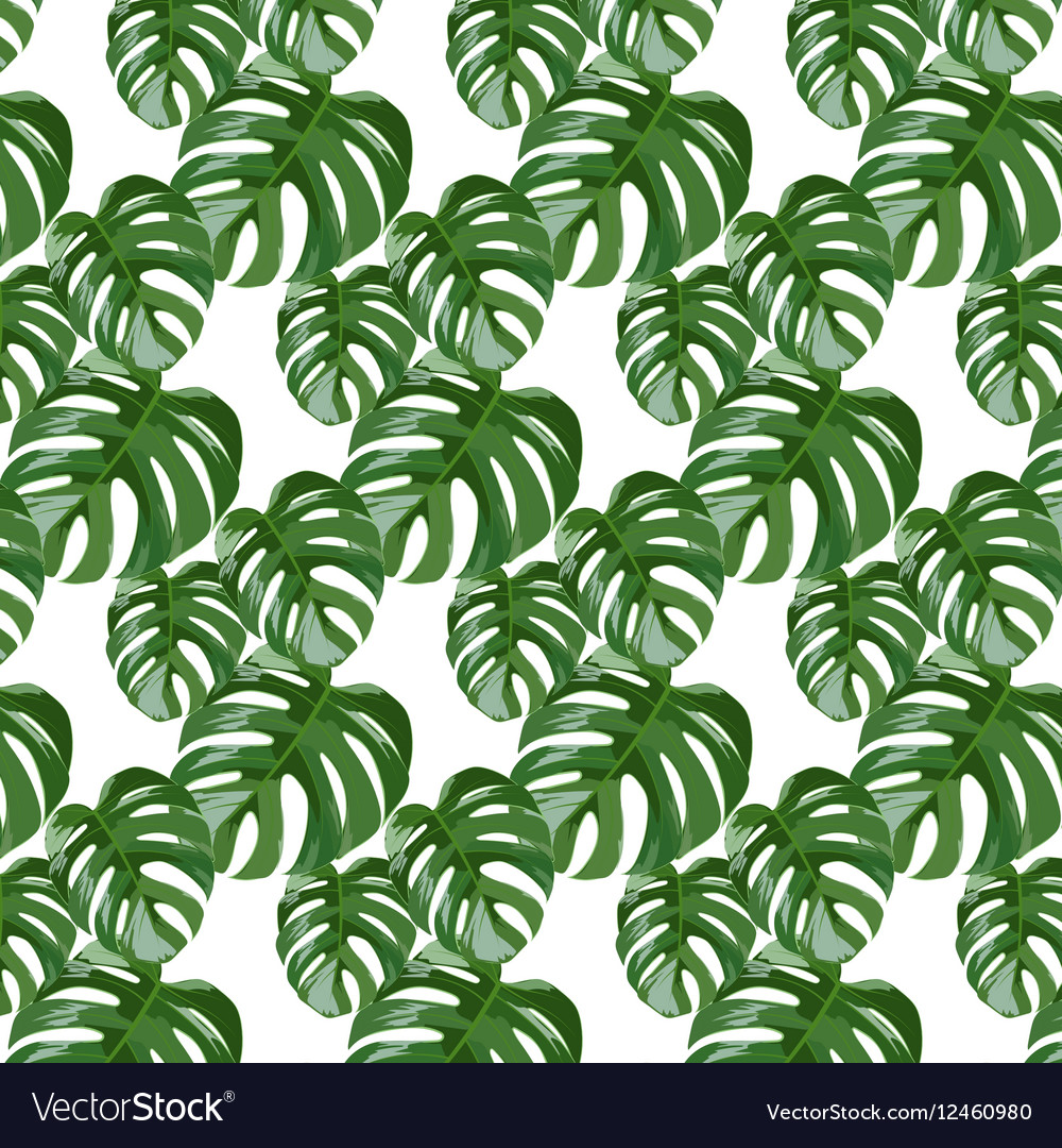 Palm tree leaves pattern Royalty Free Vector Image