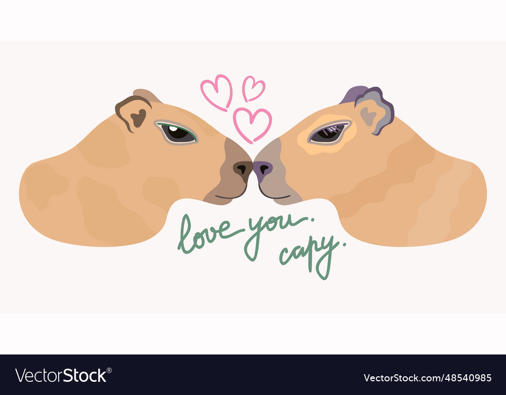 Capy Royalty Free Vector Image - VectorStock