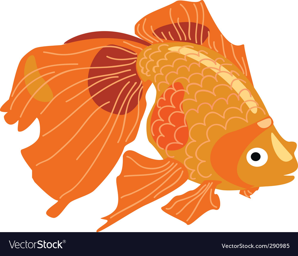 Fish Royalty Free Vector Image - VectorStock