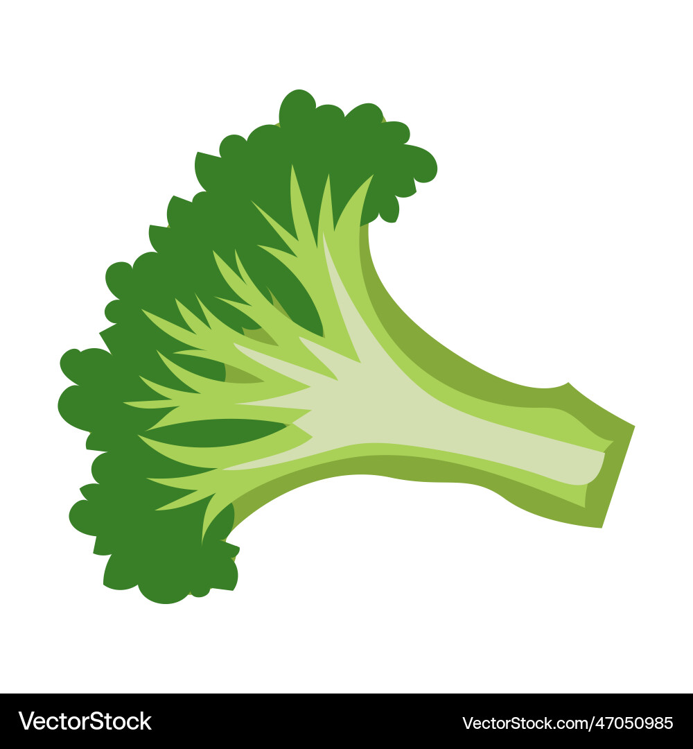 Green healthy broccoli cartoon Royalty Free Vector Image
