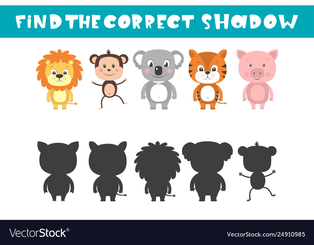 Mirror image five different animals task find Vector Image