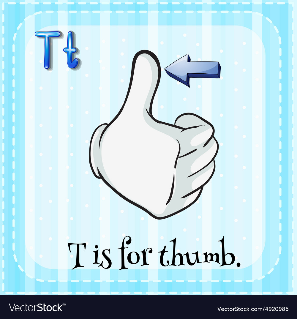 Thumb Royalty Free Vector Image - VectorStock