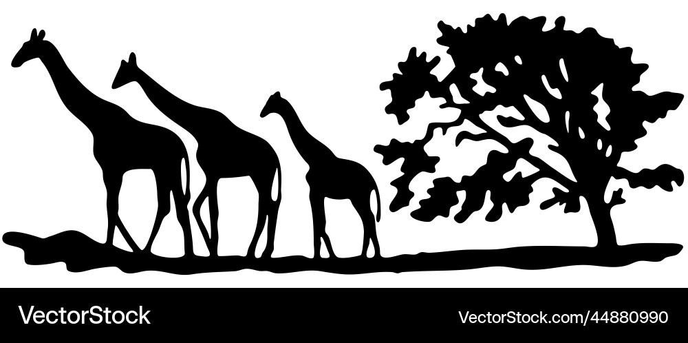 A black silhouette giraffes walking isolated Vector Image