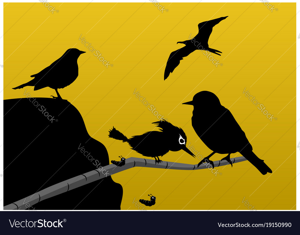 Birds Royalty Free Vector Image - VectorStock
