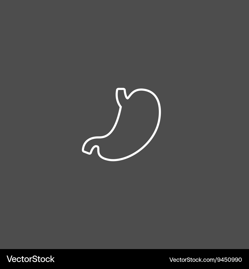 Flat human stomach icon Royalty Free Vector Image