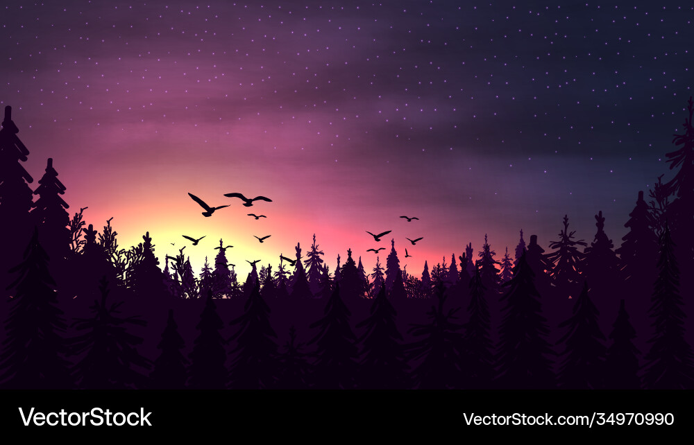 Pink sunset in a pine forest with silhouette Vector Image