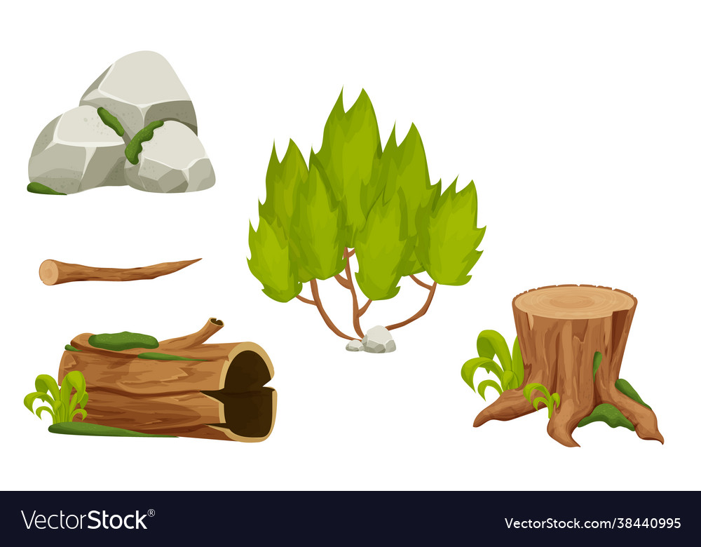Forest nature elements landscape set with tree Vector Image