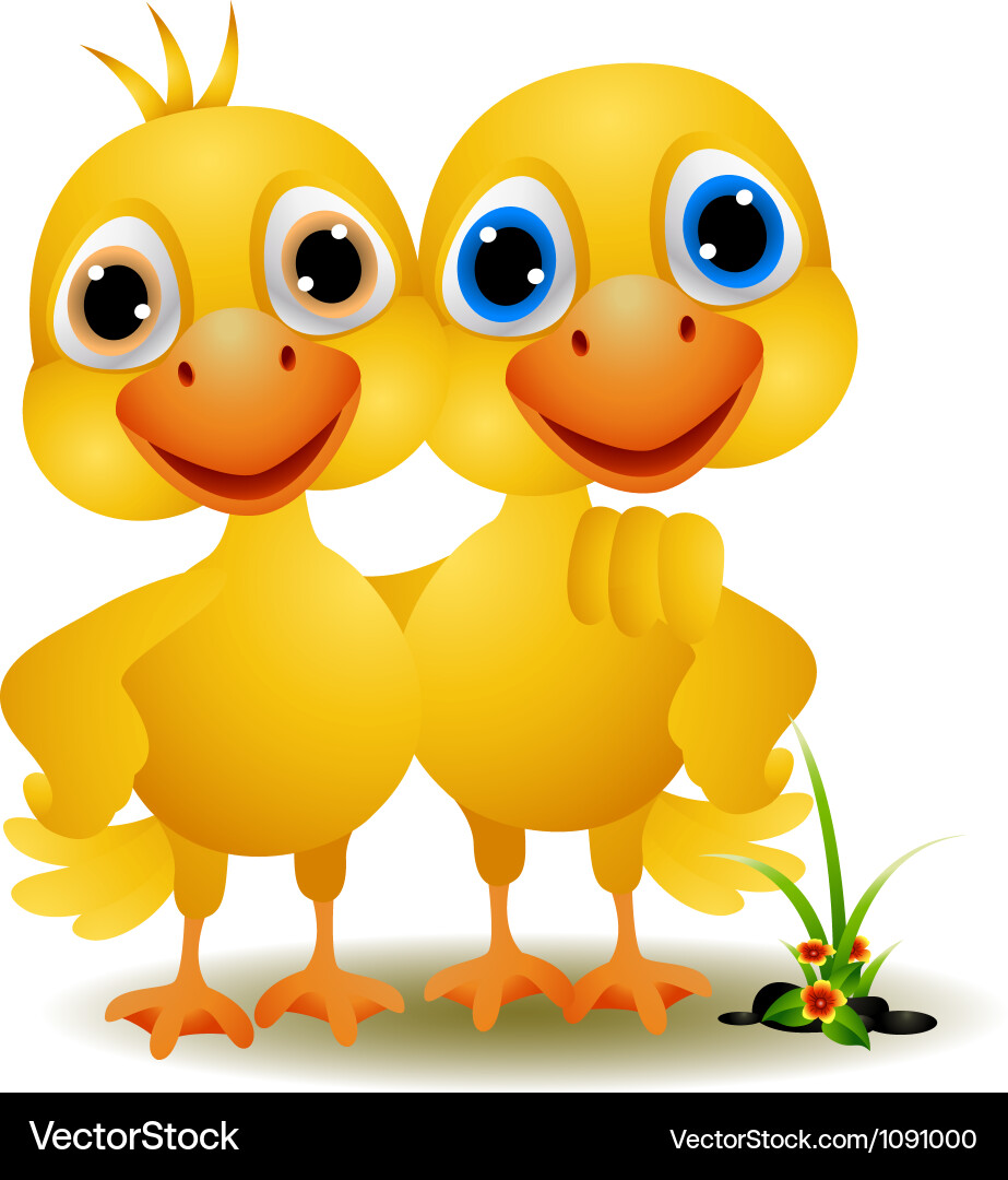 A pair of ducks in friendly Royalty Free Vector Image