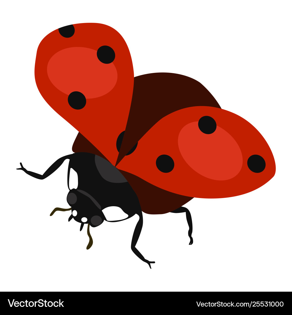 Ladybird flying icon on a white background Vector Image