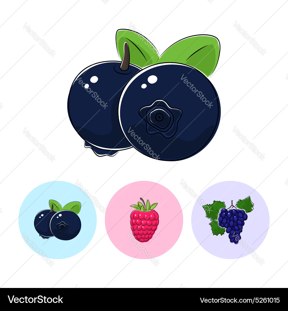 Fruit icons blueberries raspberries grapes Vector Image
