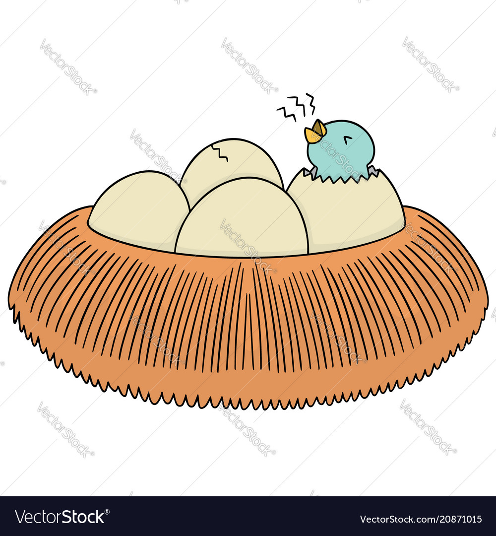 Set of bird nest and egg Royalty Free Vector Image