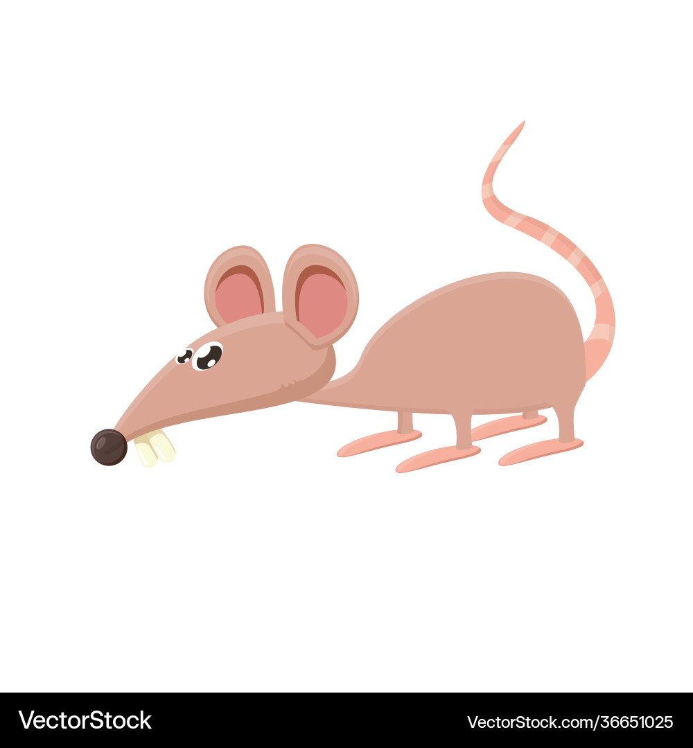 Cartoon funny mouse animal isolated Royalty Free Vector