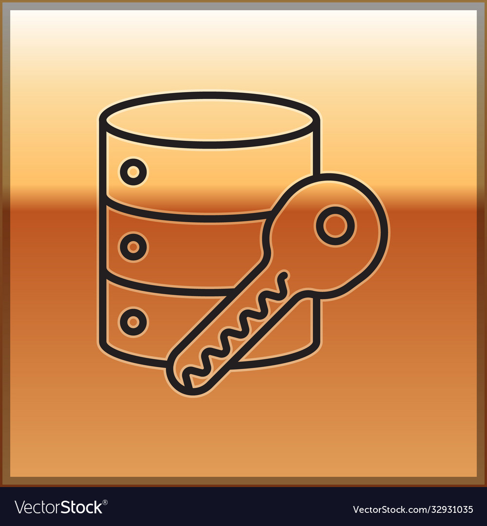 Black Line Server Security With Key Icon Isolated Vector Image
