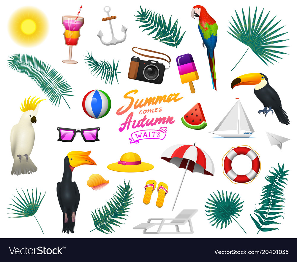 Nautical summer set marine vacation on the beach Vector Image