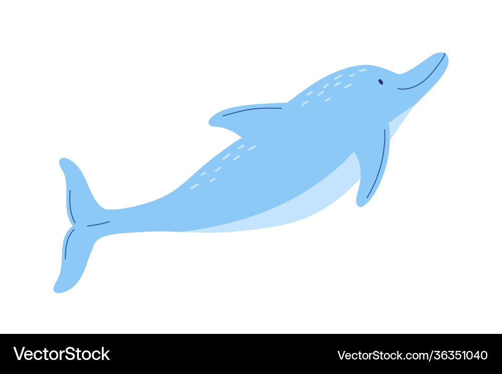 Adorable blue dolphin isolated on white background