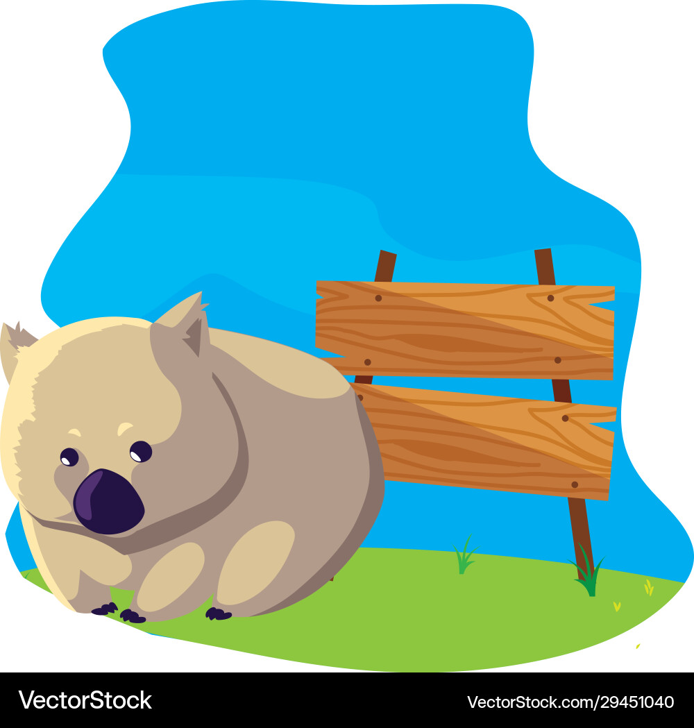 Cute australian wombat with background landscape Vector Image