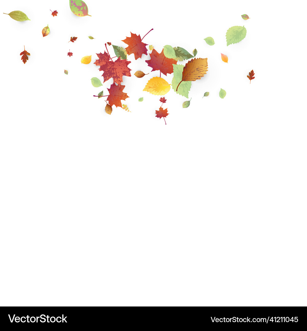 Leaves falling autumn foliage chaotic leaf flying Vector Image