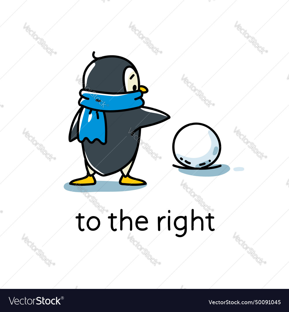 Preposition penguin and snowball on the right Vector Image
