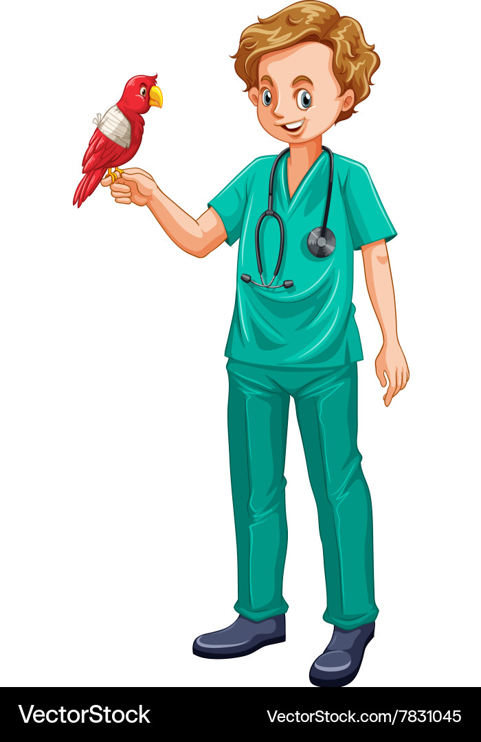 Vet and parrot pet Royalty Free Vector Image - VectorStock