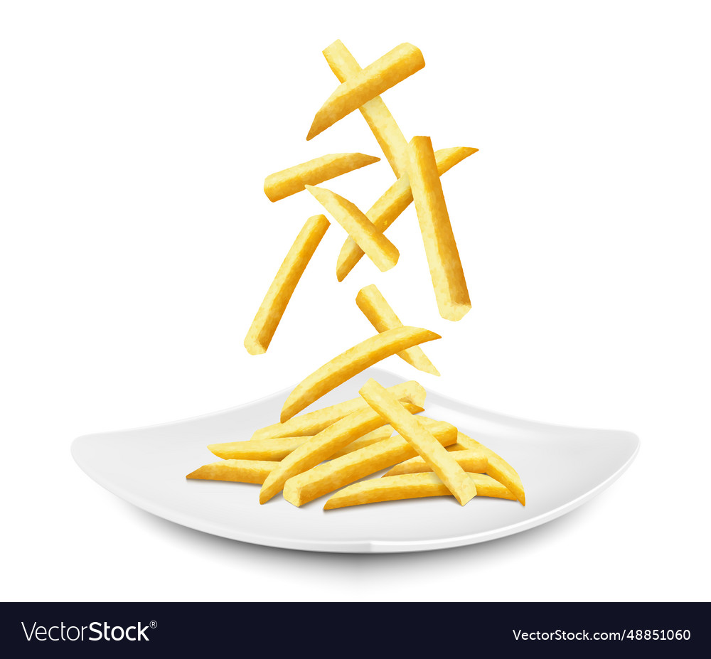 Crispy crunchy tasty french fries junk food Vector Image