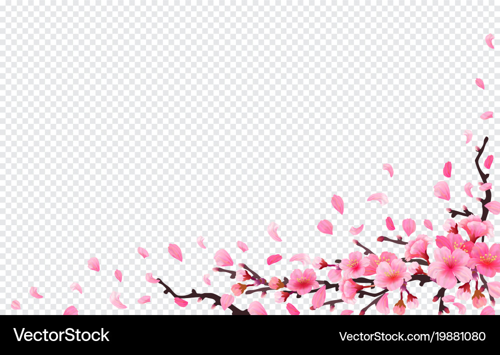Realistic sakura japan cherry branch Royalty Free Vector
