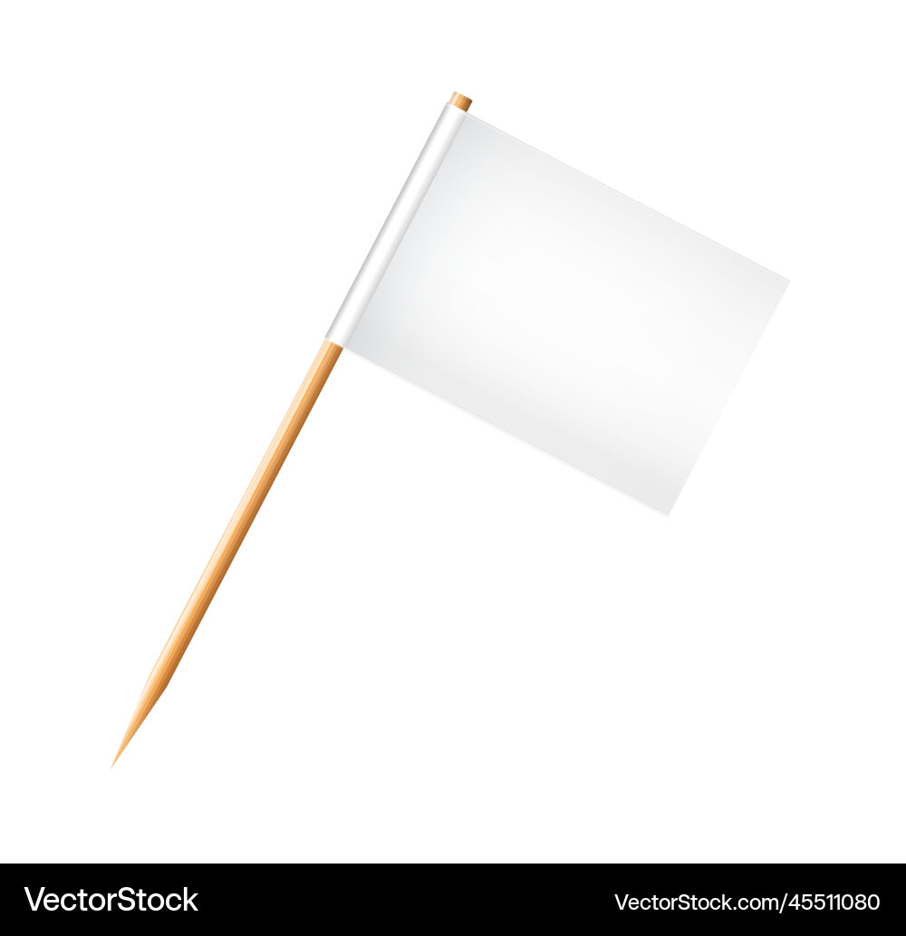 Toothpick flags wooden toothpicks with white Vector Image