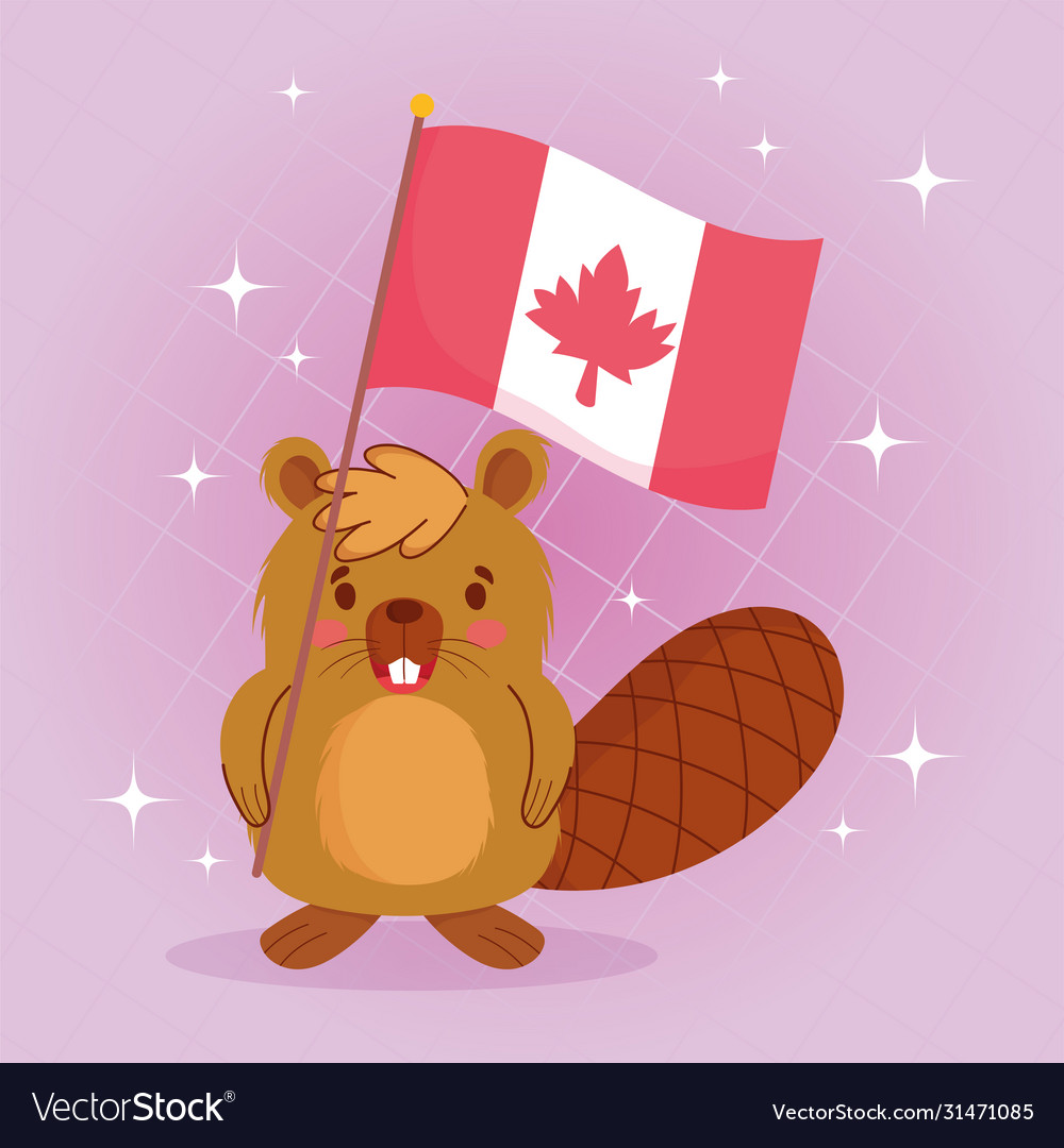Beaver with canadian flag happy canada day Vector Image