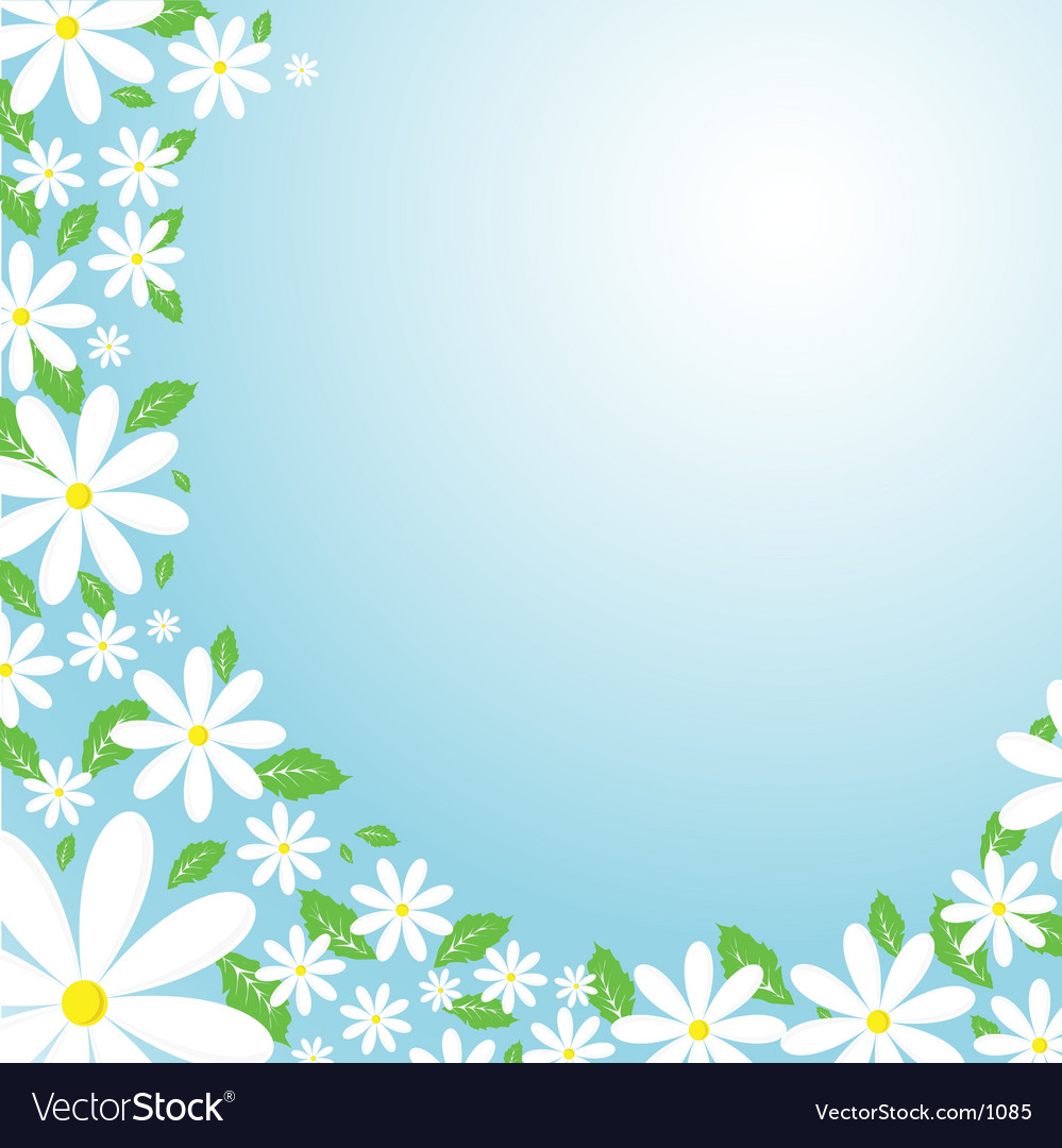 Daisy background Royalty Free Vector Image - VectorStock
