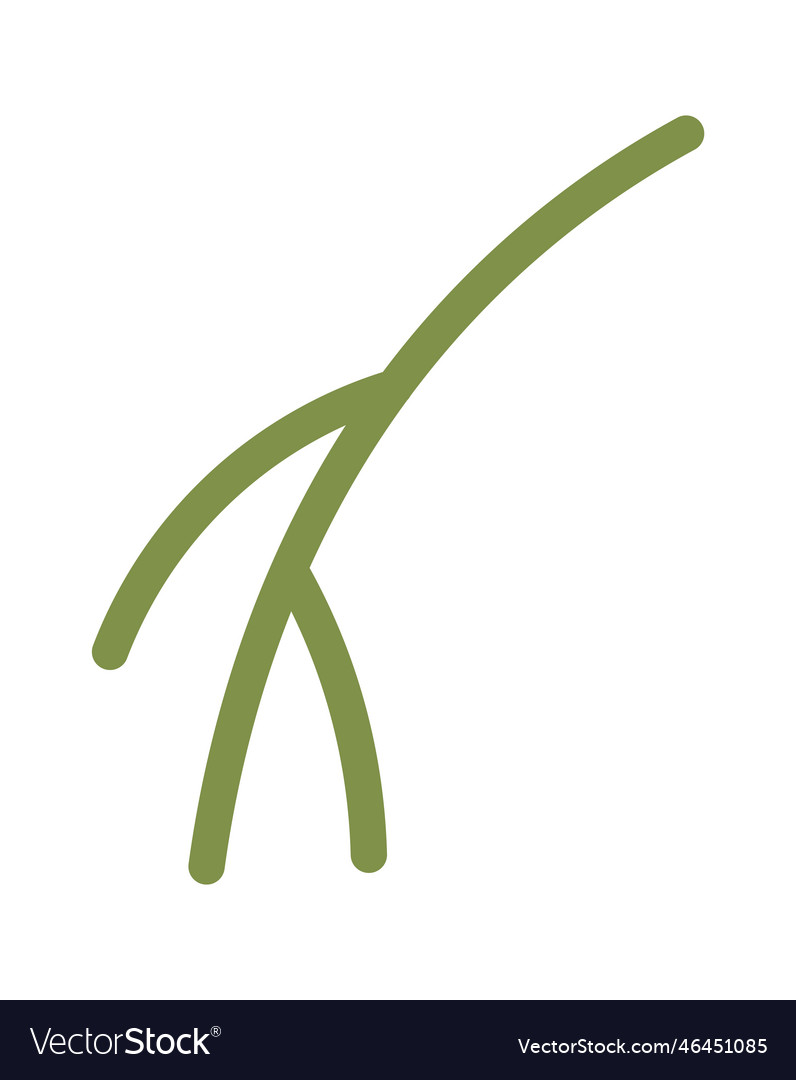 Flower stem Royalty Free Vector Image - VectorStock