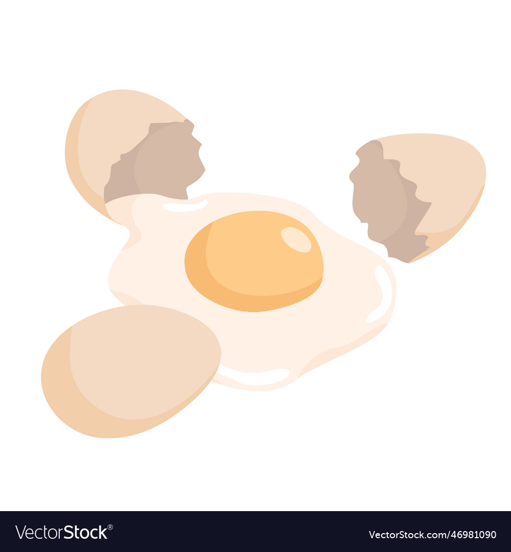 Egg broken yolk Royalty Free Vector Image - VectorStock