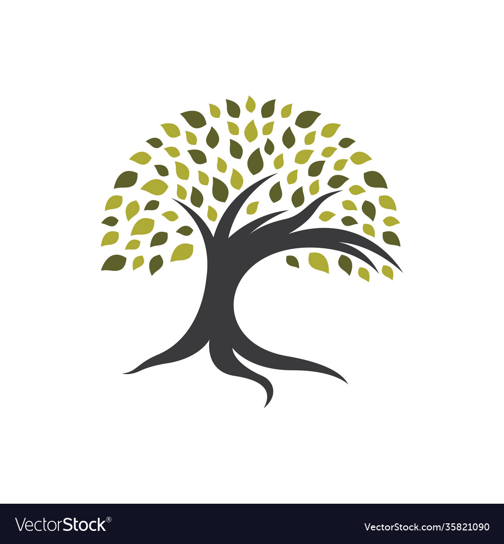Tree symbol Royalty Free Vector Image - VectorStock