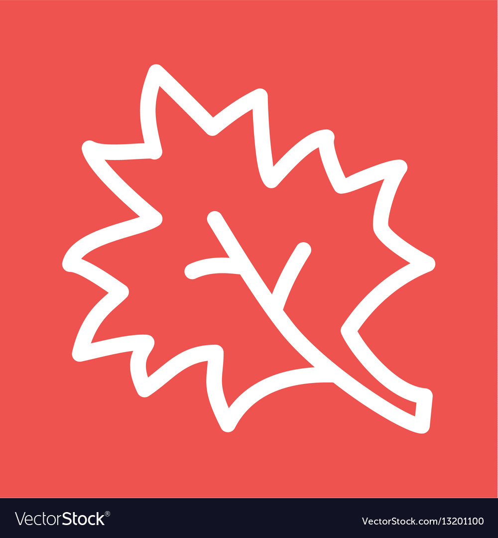 Maple leaf Royalty Free Vector Image - VectorStock