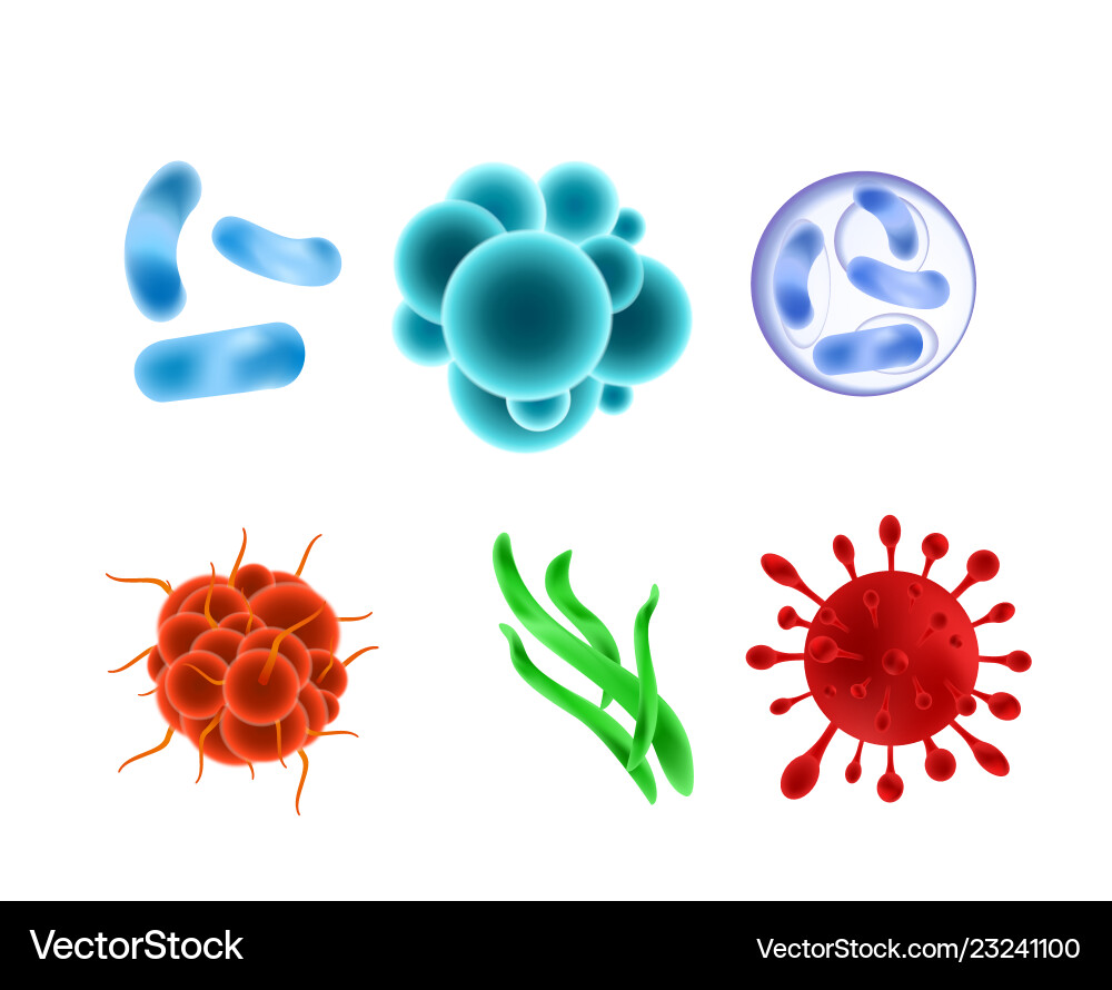 Set of realistic bacterias Royalty Free Vector Image