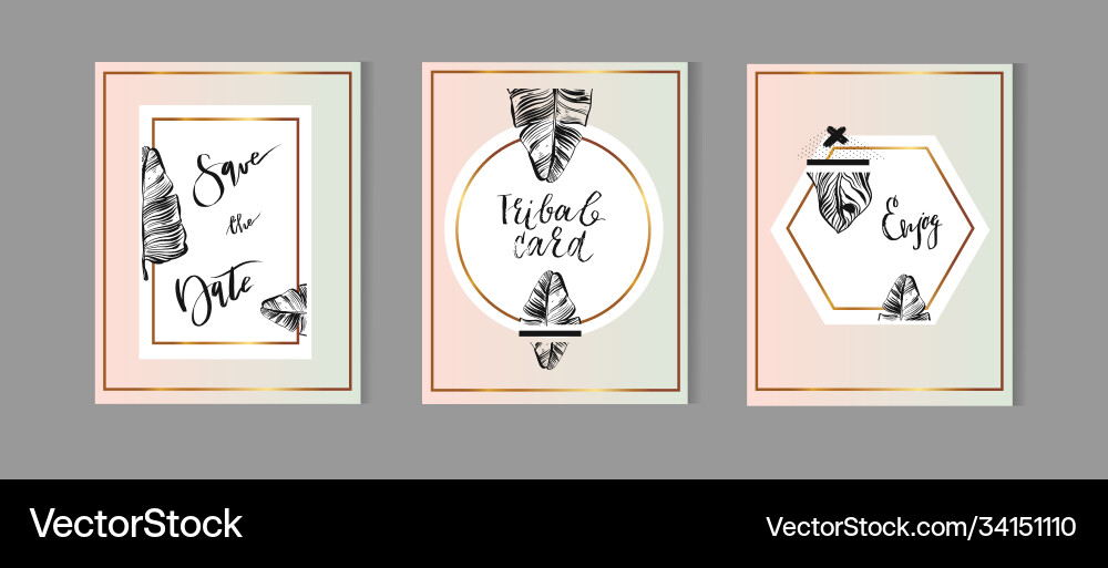 Set hand drawn universal cards with tropical Vector Image