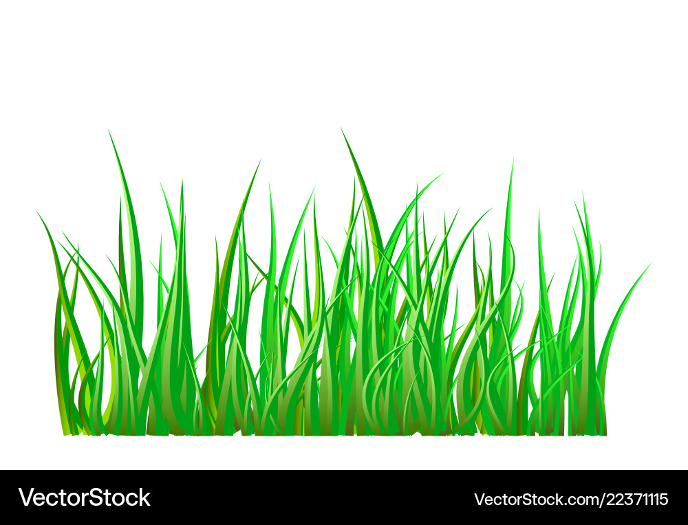 Green grass isolated symbol icon design Royalty Free Vector