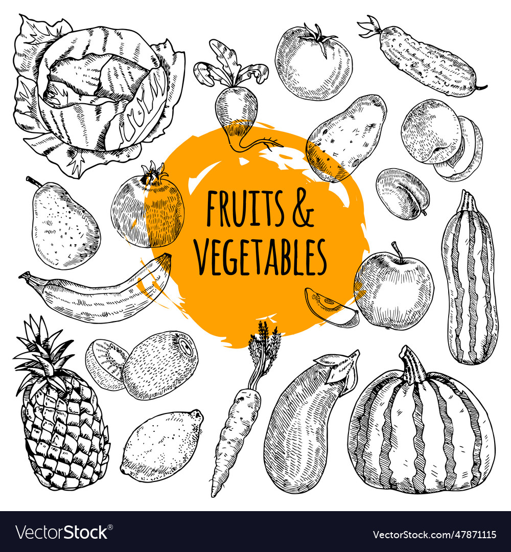 Healthy food collection hand drawn doodle Vector Image