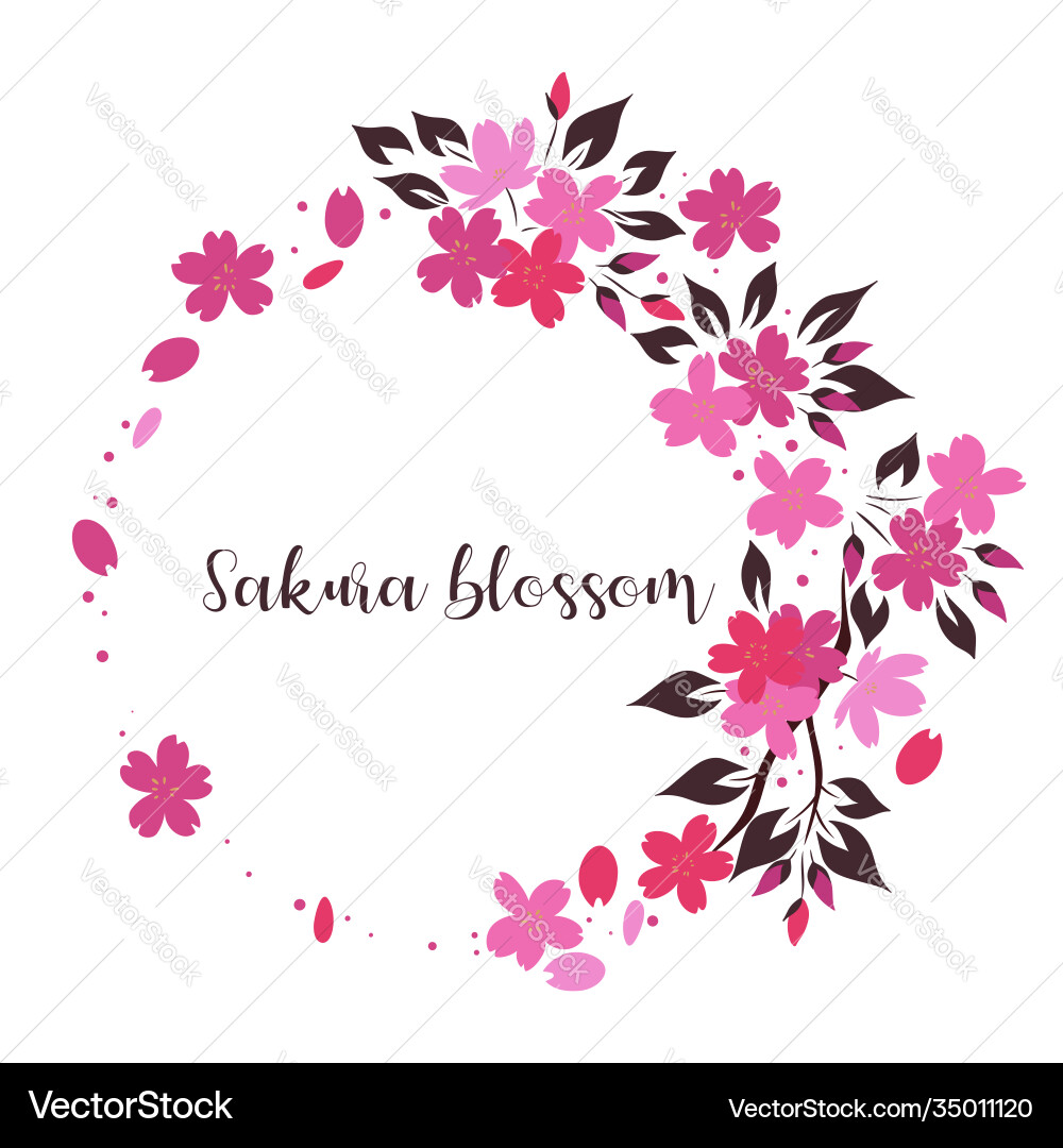 Frame from sakura flowers on a white background Vector Image