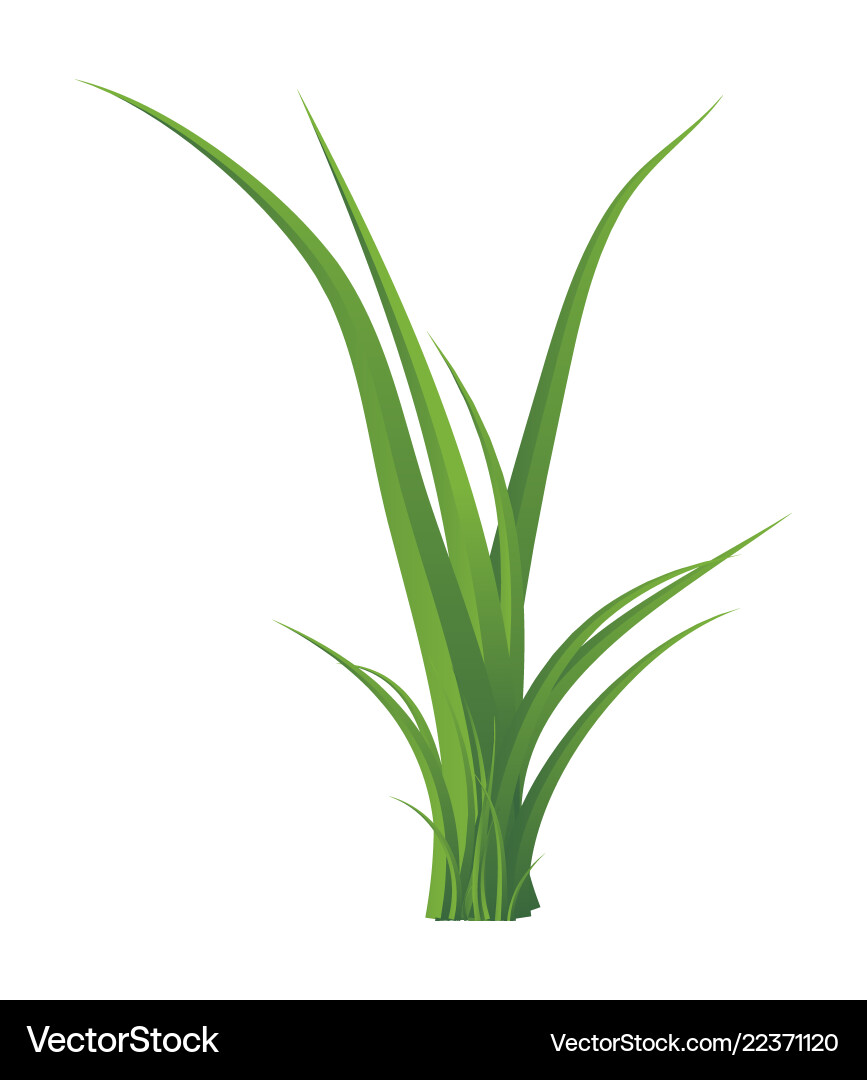 Green grass isolated symbol icon design Royalty Free Vector