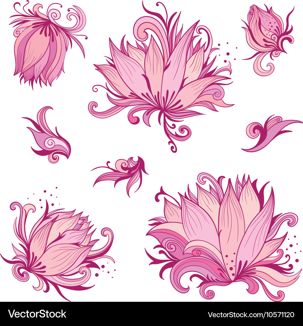 Pink Lotus Flowers Set Royalty Free Vector Image