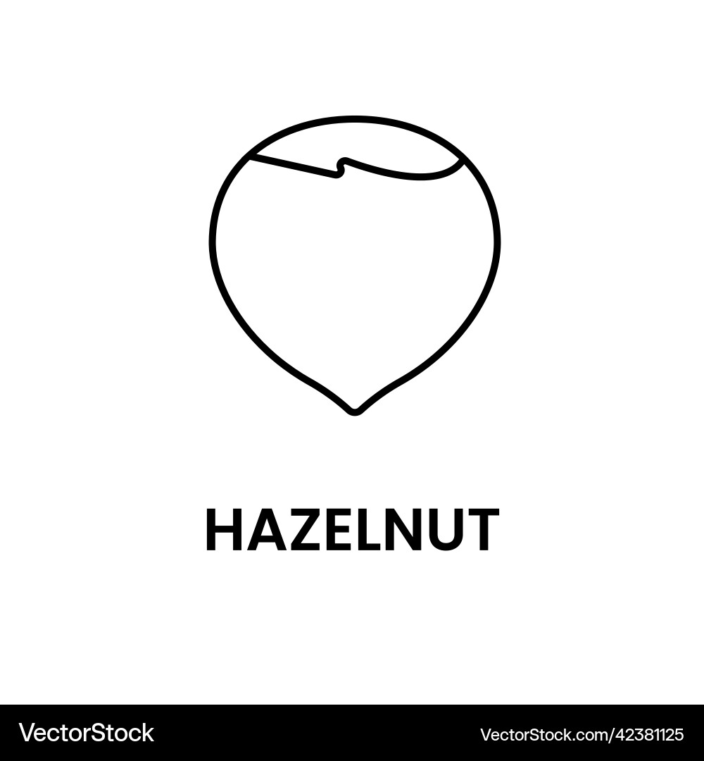 Hazelnut outline logo icon on white background Vector Image