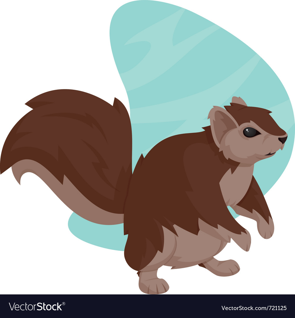 Squirrel Royalty Free Vector Image - VectorStock