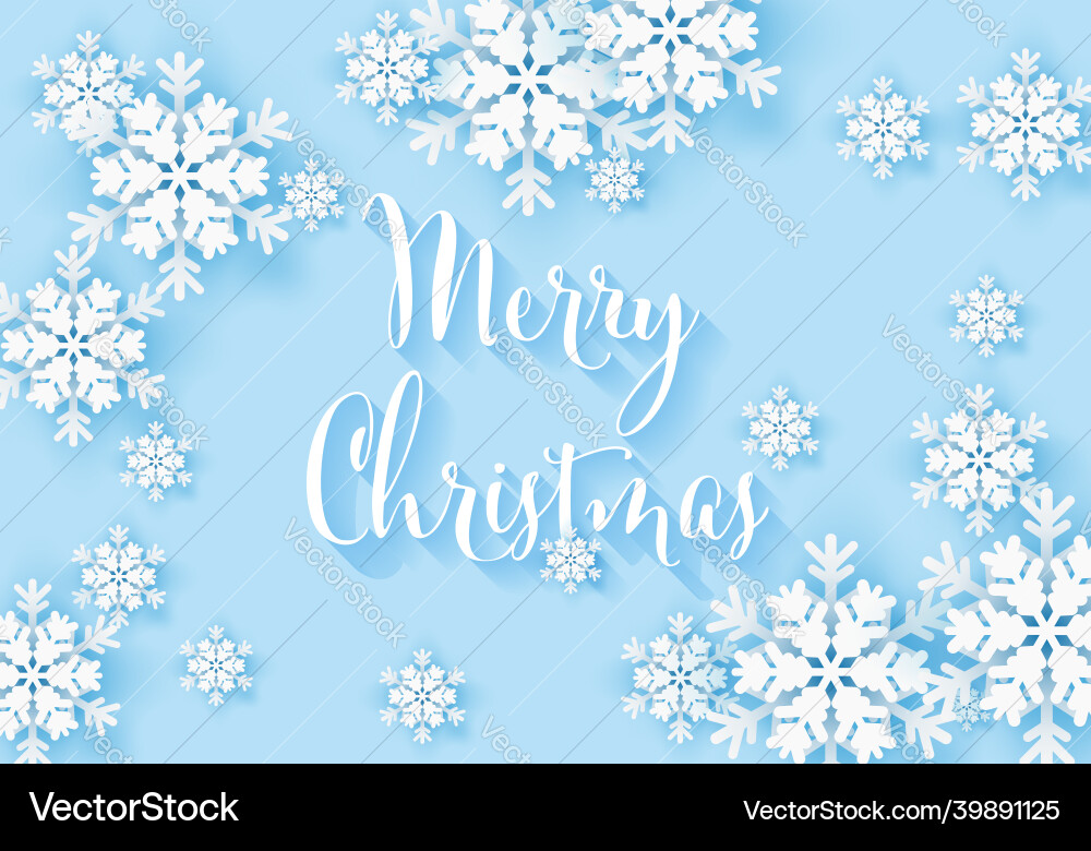 Winter snowflake greeting banner with blue Vector Image