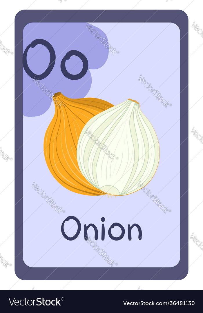 Colorful abc education flash card letter o Vector Image