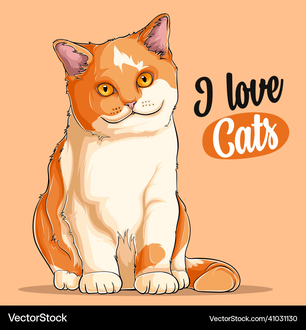 Lovely colored sitting british cat Royalty Free Vector Image